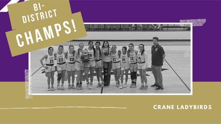 Live Feed | Crane Independent School District